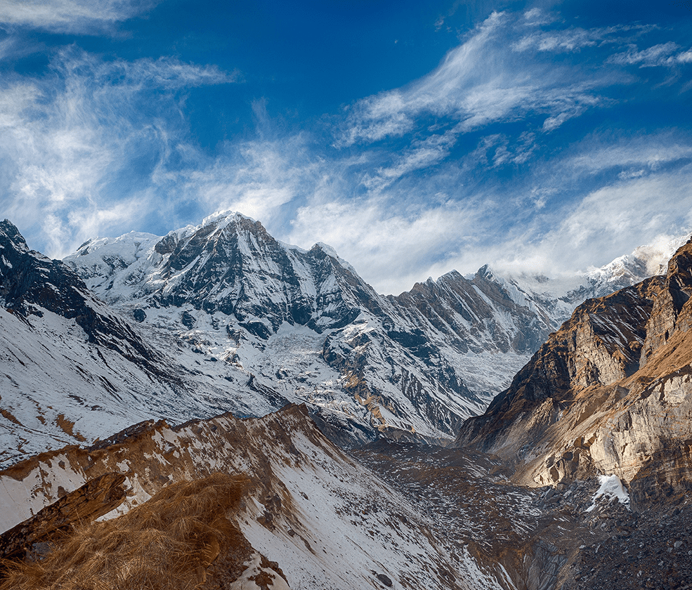 Official Site | Purra Performance